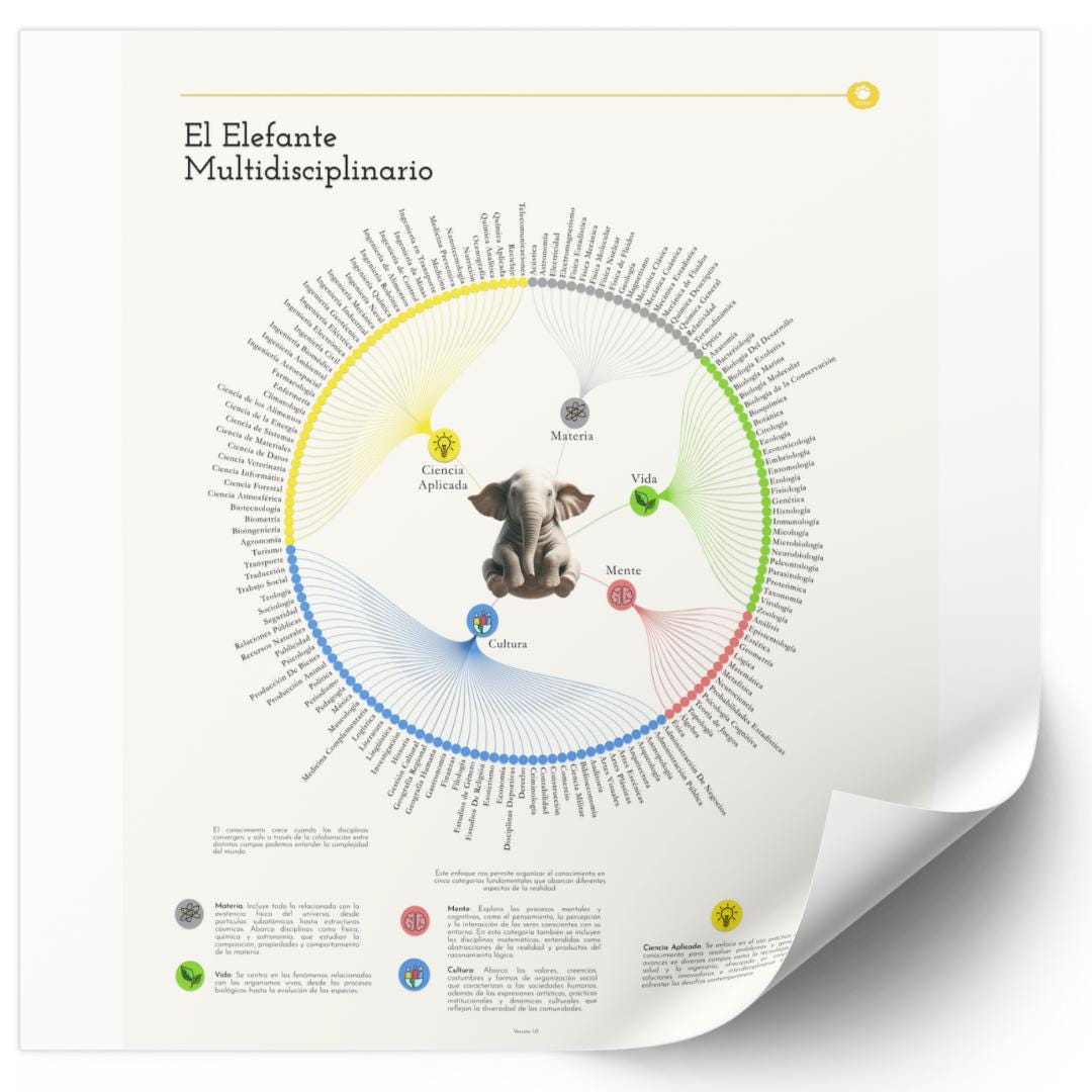 Knowledge Map the Multidisciplinary Elephant - Etsy