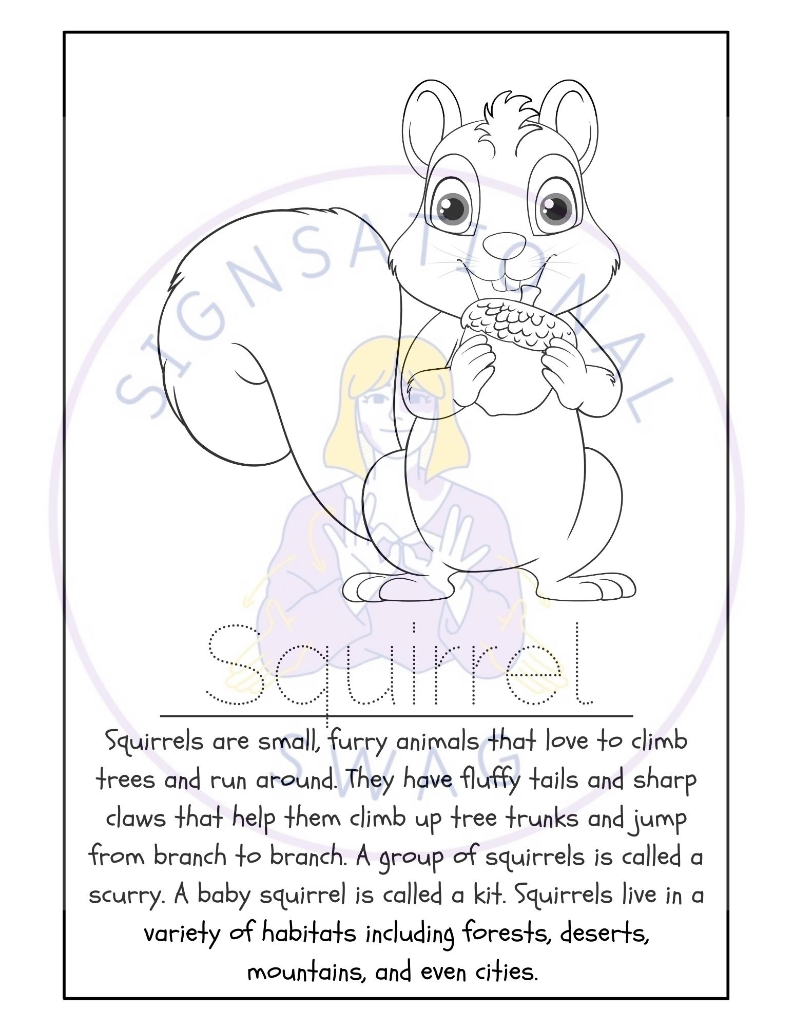 Colorful Adventures: Fun Coloring Books for Kids | Land Animals ...