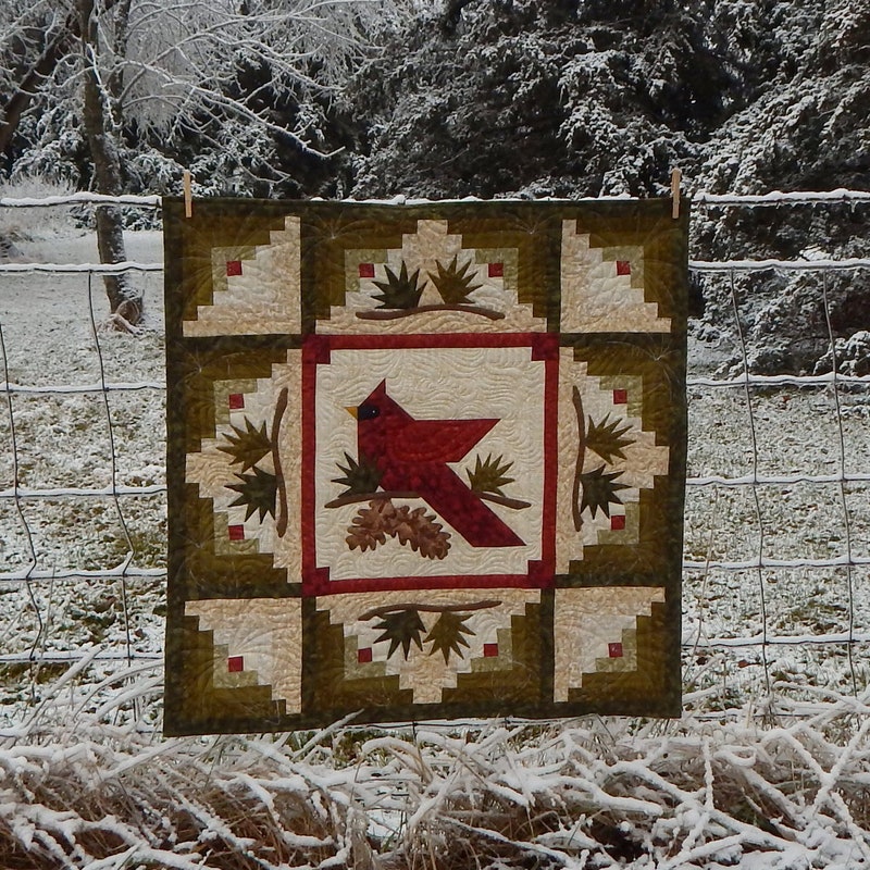 Cardinal Quilt Kit - Etsy