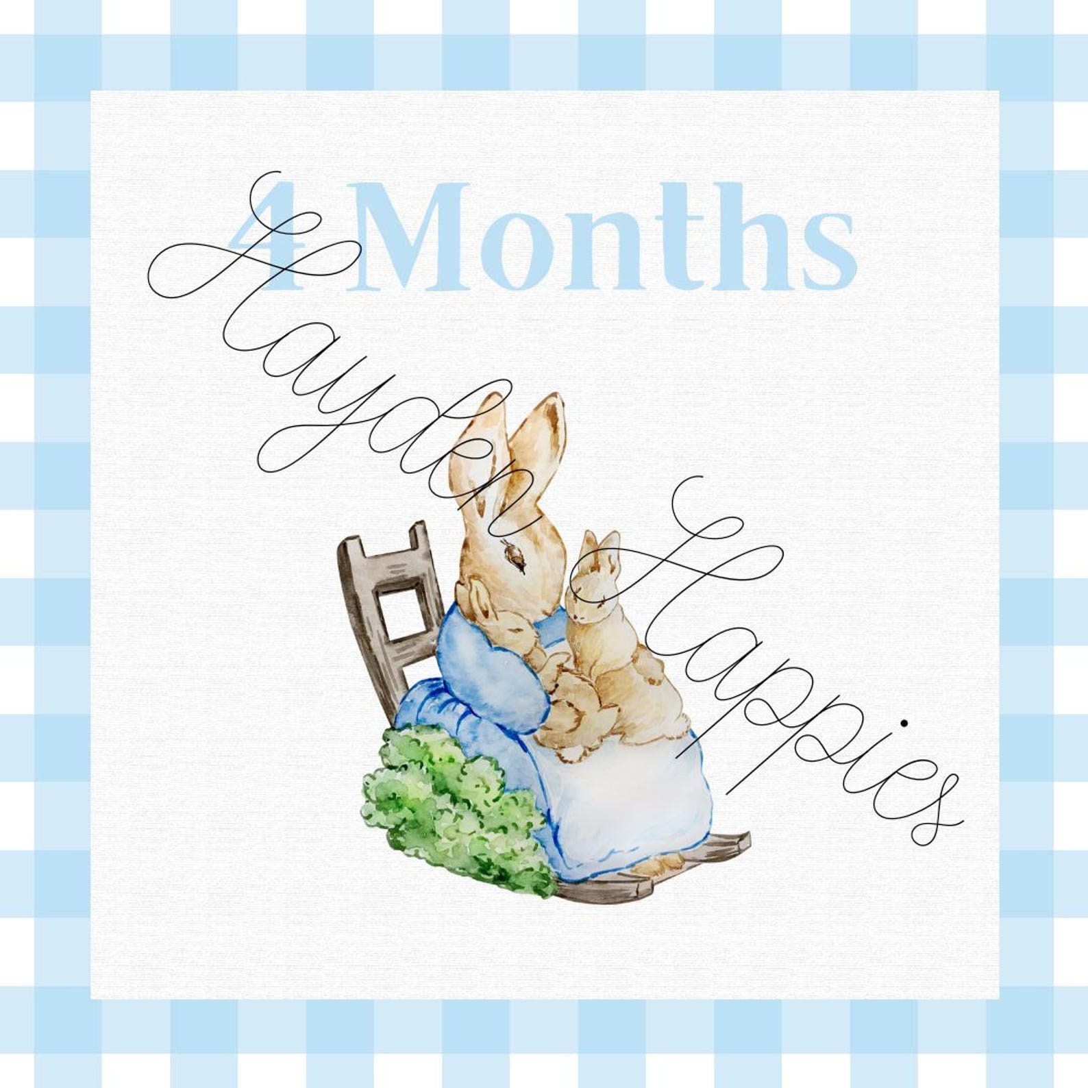 Peter Rabbit/beatrix Potter Monthly Milestone Card Digital Download - Etsy