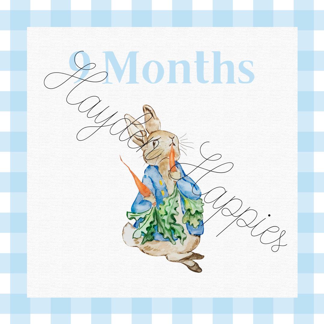 Peter Rabbit/beatrix Potter Monthly Milestone Card Digital Download - Etsy