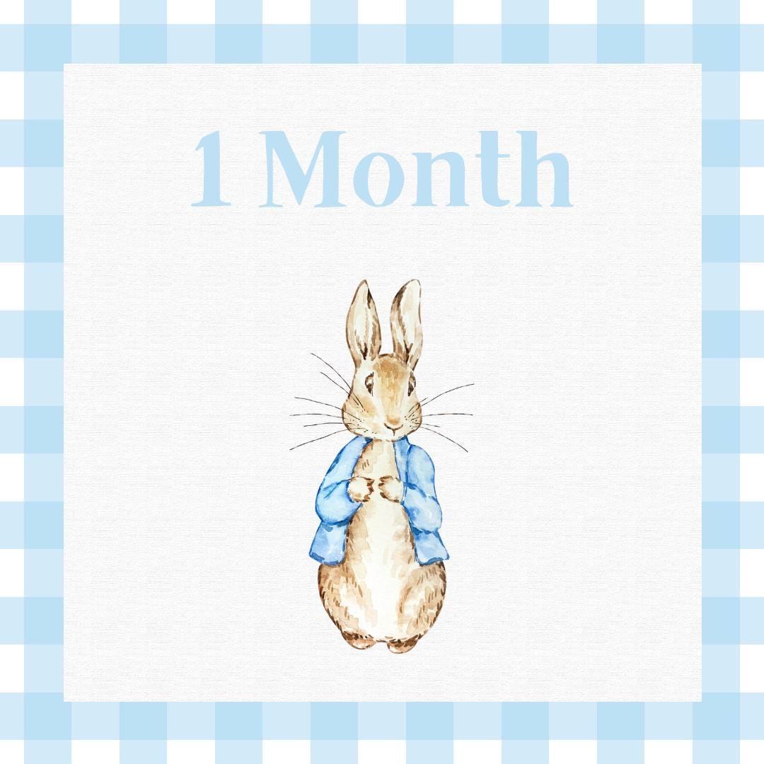 Peter Rabbit/beatrix Potter Monthly Milestone Card Digital Download - Etsy