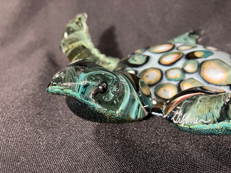 Tortuga marina de cristal - Espalda de percebes blancos - John Gibbons ...