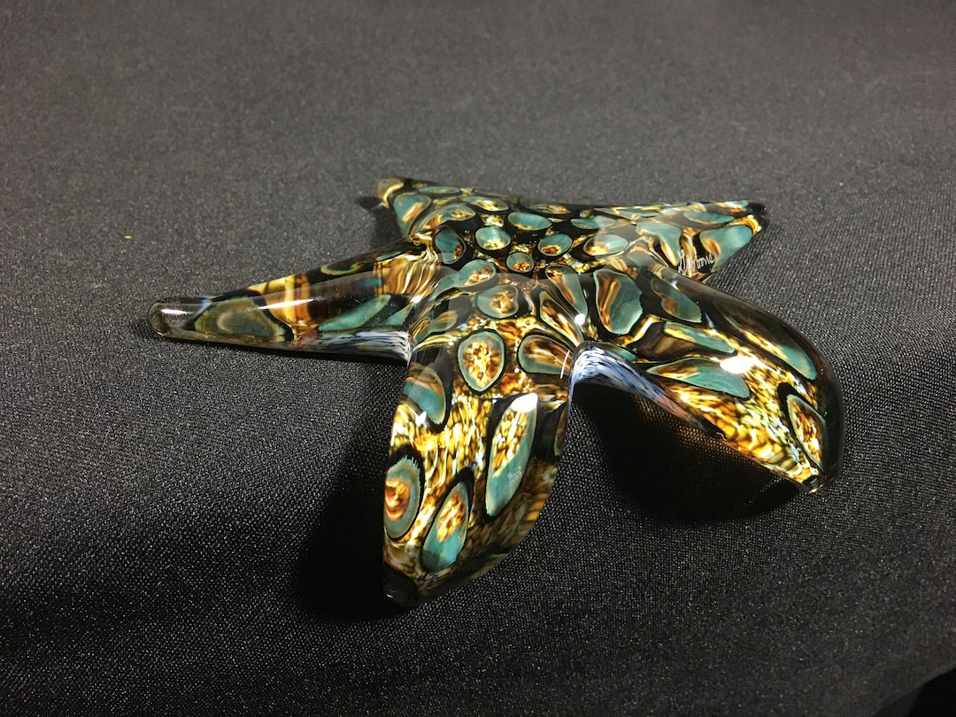 Glass Starfish - Tide Pool Amber Barnacle - John Gibbons - Etsy