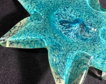 Hand Blown Glass Starfish Kapow Starfish 5.5 Inch Handmade Glass Art by ...