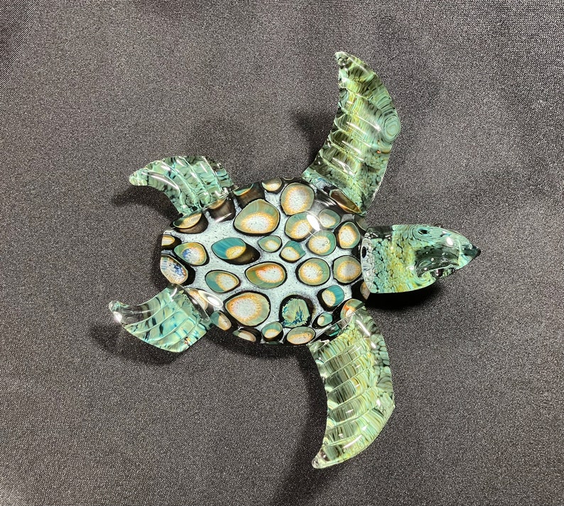 Tortuga marina de cristal - Espalda de percebes blancos - John Gibbons ...