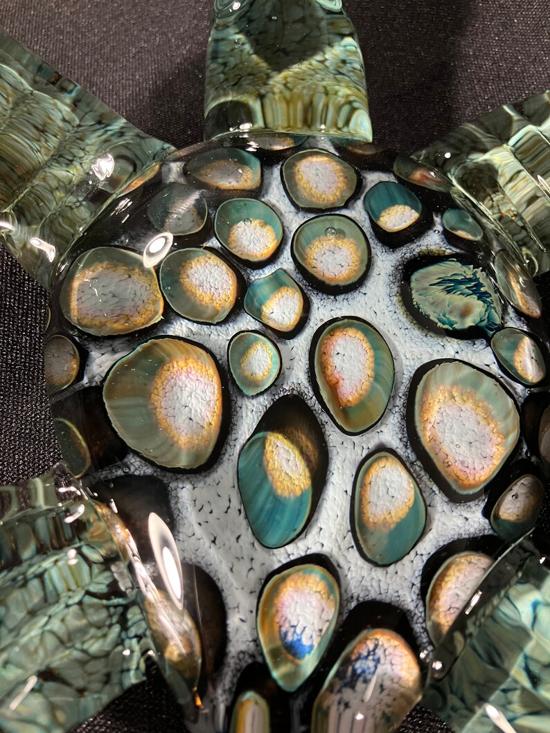 Tortuga marina de cristal - Espalda de percebes blancos - John Gibbons ...