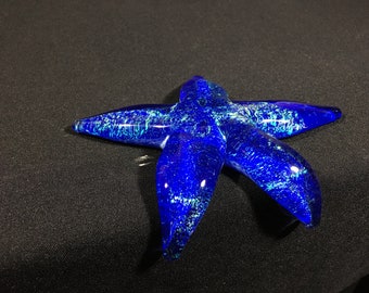 Hand Blown Glass Starfish Kapow Starfish 5.5 Inch Handmade Glass Art by ...