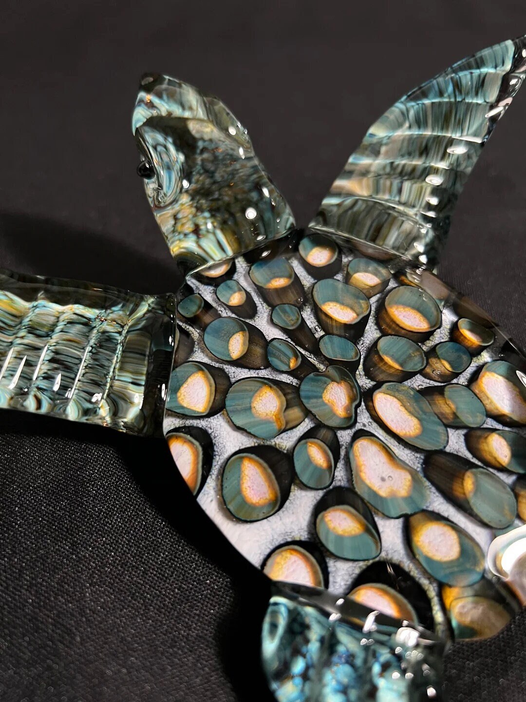 Tortuga marina de cristal - Espalda de percebes blancos - John Gibbons ...