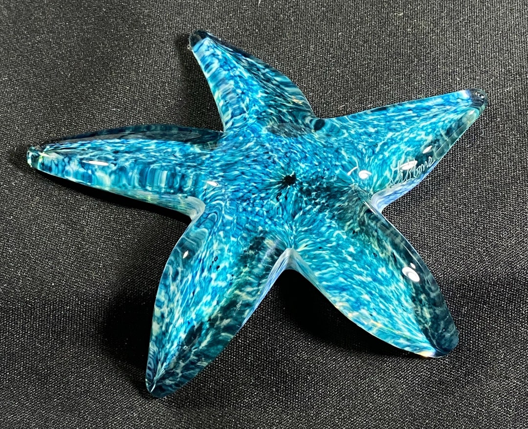 Hand Blown Glass Starfish Kapow Starfish 5.5 Inch Handmade Glass Art by ...