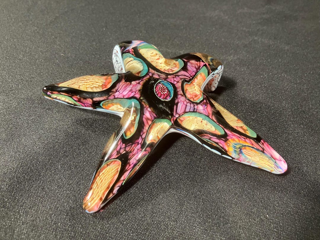 Glass Starfish - Large Pink Barnacle Sponge - John Gibbons - Etsy