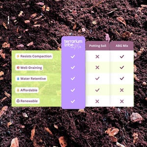 Terrarium Substrate Mix (premium Blend) | Terrarium Soil, Vivarium ...