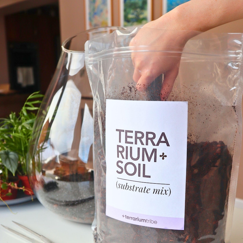 Terrarium Soil & Substrate Mix | Premium Blend for Closed + Bioactive ...