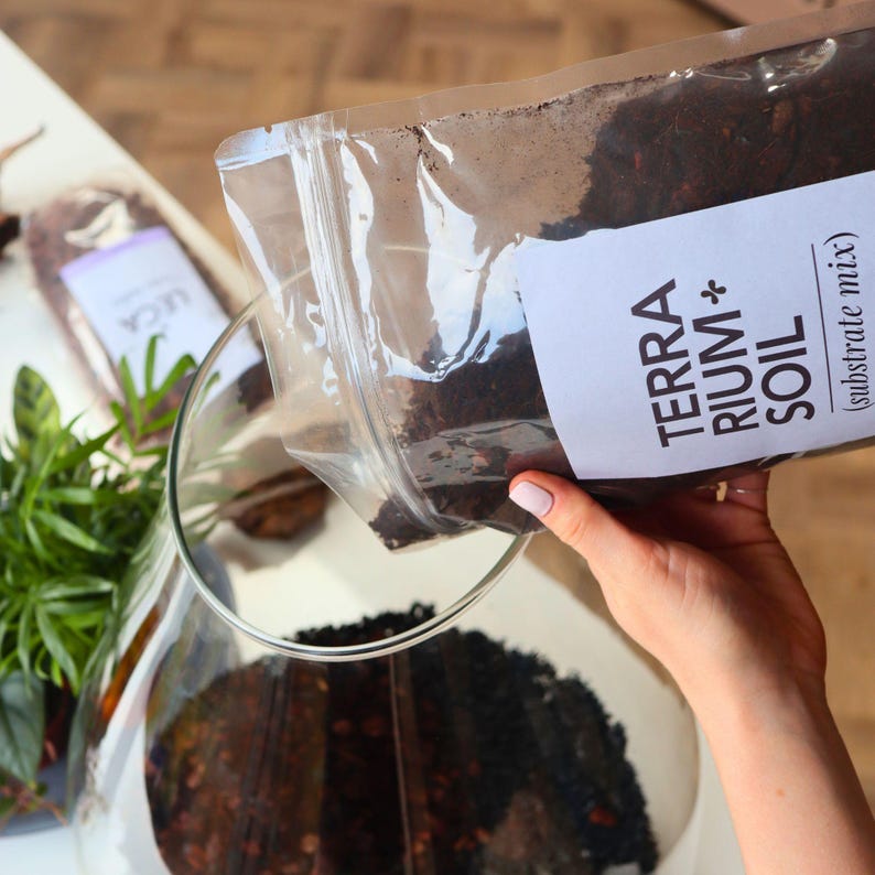 Terrarium Soil & Substrate Mix | Premium Blend for Closed + Bioactive ...