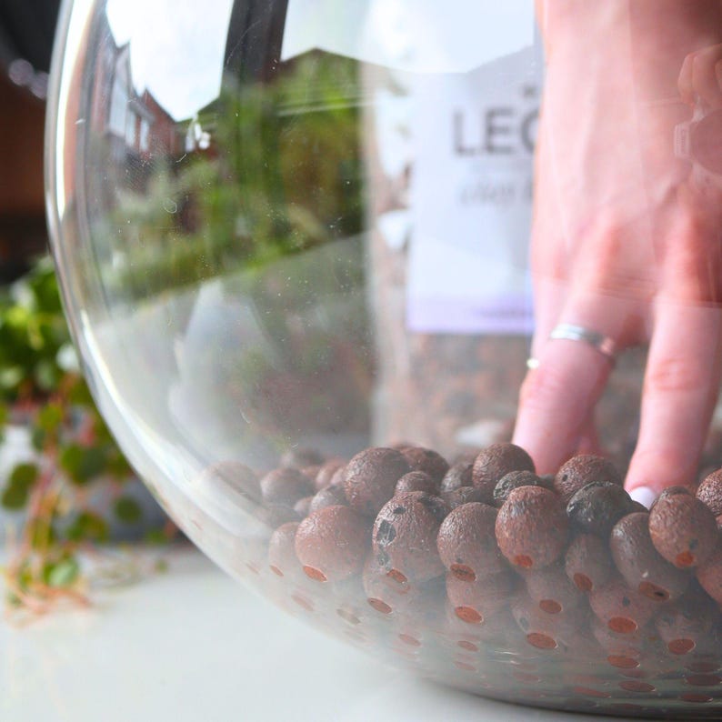 LECA Clay Balls | Expanded Clay Balls, Hydroponic, Terrarium / Vivarium ...