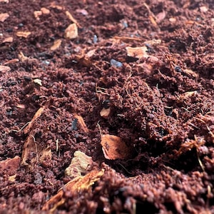 Terrarium Substrate Mix (premium Blend) | Terrarium Soil, Vivarium ...