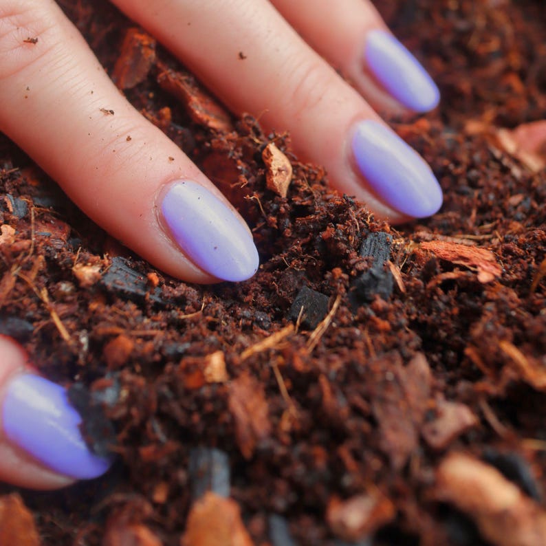 Terrarium Soil & Substrate Mix | Premium Blend for Closed + Bioactive ...