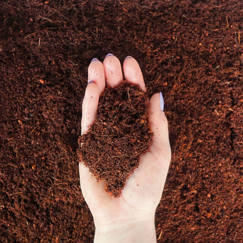 Coco Coir Fiber (loose) | Renewable Growing Media, Substrate Base - Etsy