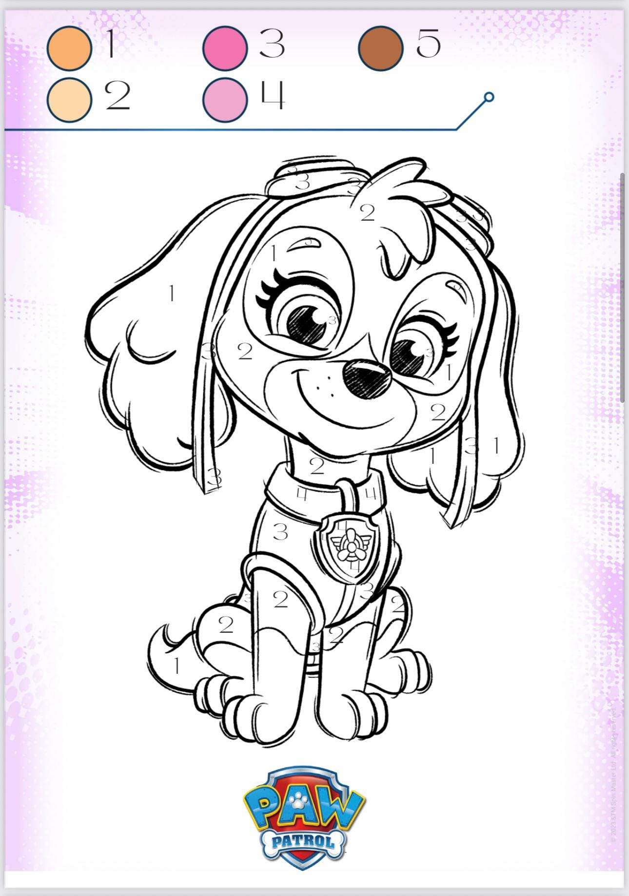 Paw Patrol Colouring & Matching Activity | Printable Preschool Colour ...