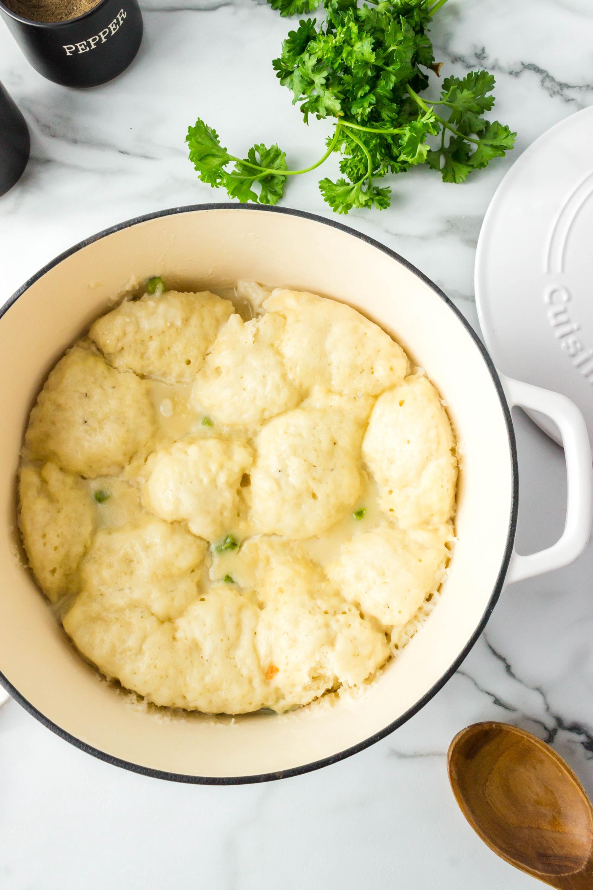 Chicken and Dumplings Stew Recipe: Small-batch Comfort Food (PDF ...