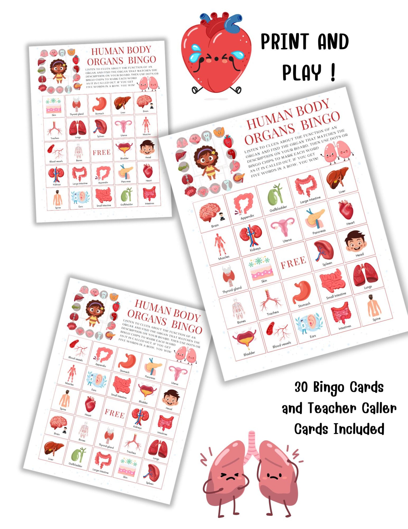 Printable Human Body Bingo Game for Kids | Anatomy Learning Activity ...