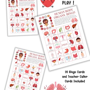 Printable Human Body Bingo Game for Kids | Anatomy Learning Activity ...