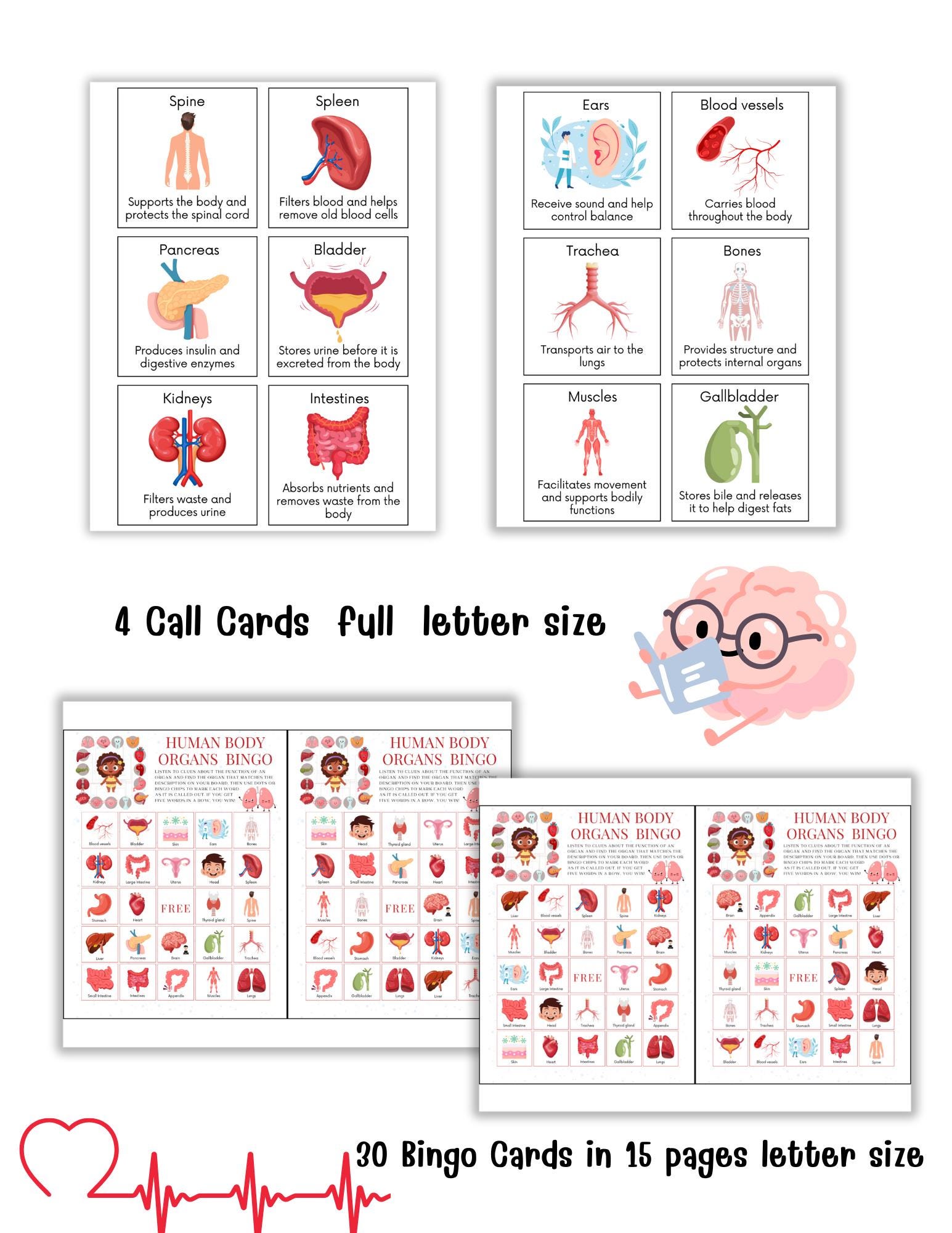 Printable Human Body Bingo Game for Kids | Anatomy Learning Activity ...