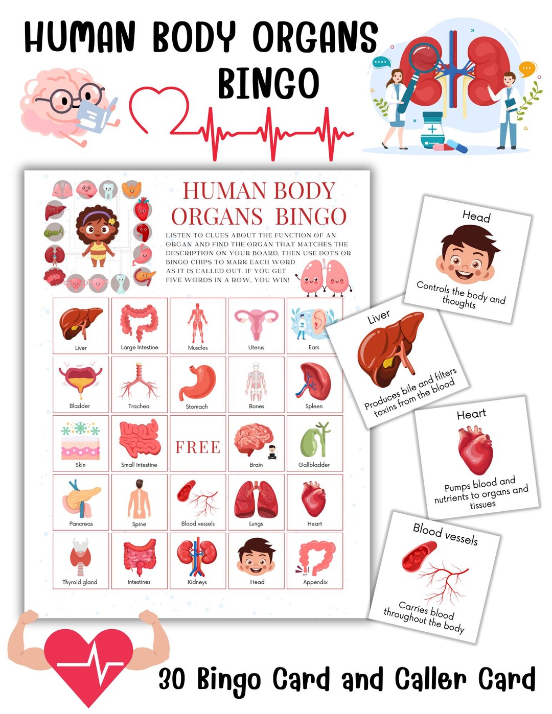 Printable Human Body Bingo Game for Kids | Anatomy Learning Activity ...