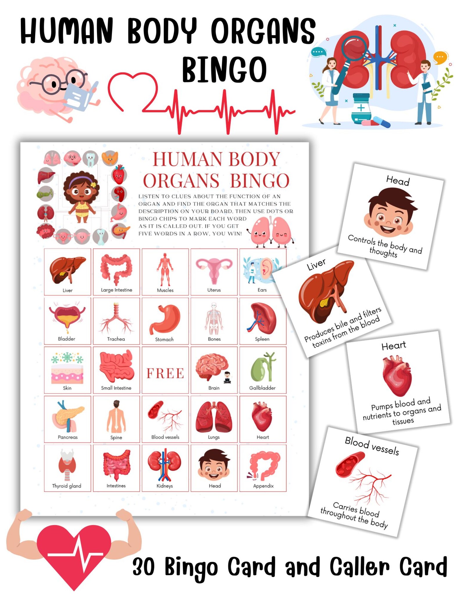 Printable Human Body Bingo Game for Kids | Anatomy Learning Activity ...