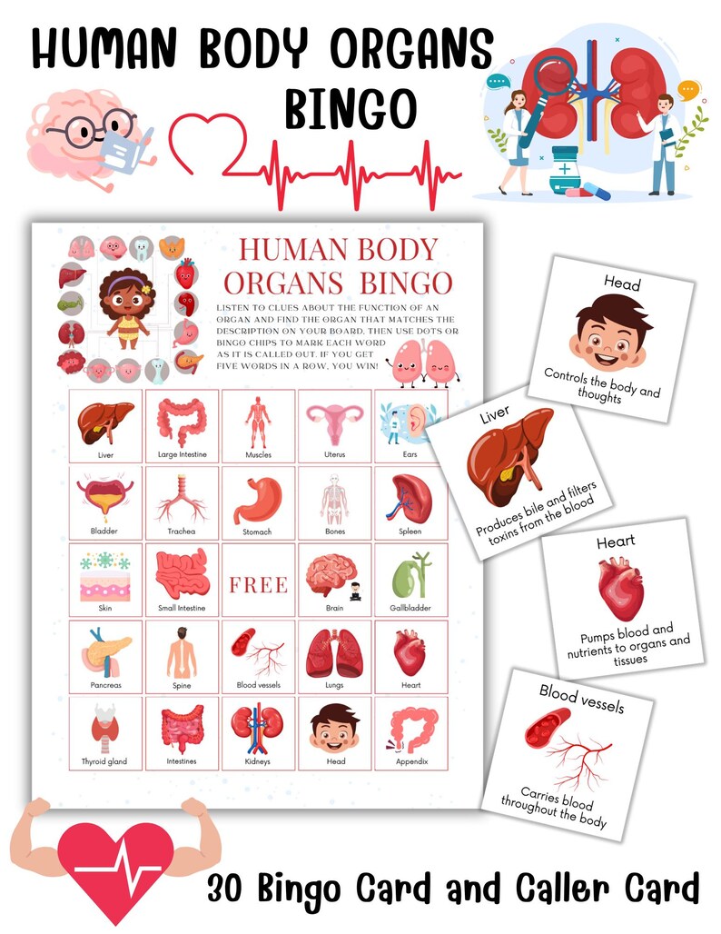 Printable Human Body Bingo Game for Kids | Anatomy Learning Activity ...
