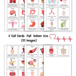 Printable Human Body Bingo Game for Kids | Anatomy Learning Activity ...