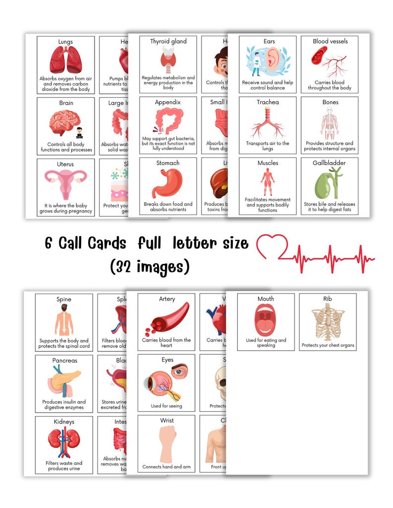 Printable Human Body Bingo Game for Kids | Anatomy Learning Activity ...