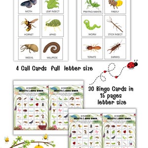 Insects and Bugs Bingo Game | Printable Bug Bingo for Kids | Spring ...