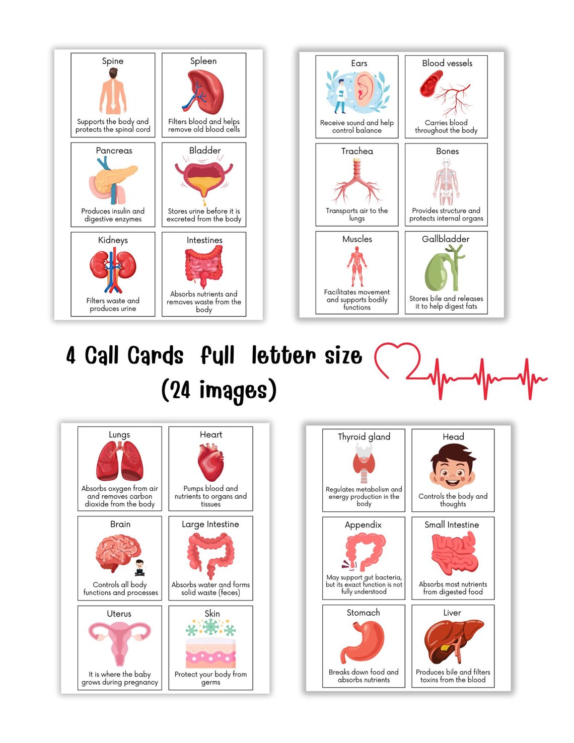 Printable Human Body Bingo Game for Kids | Anatomy Learning Activity ...