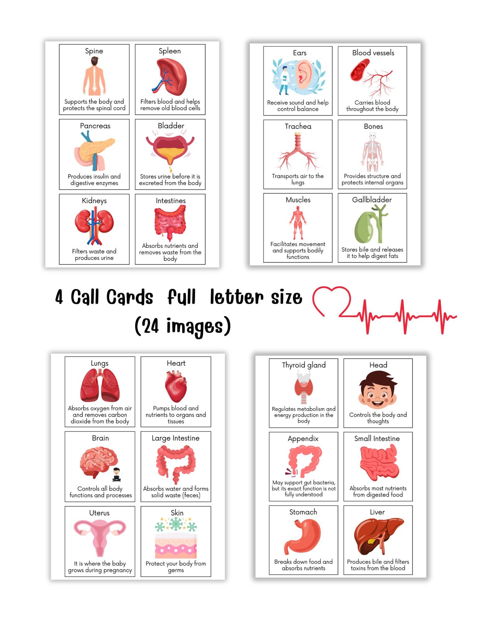 Printable Human Body Bingo Game for Kids | Anatomy Learning Activity ...