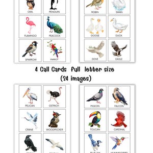 Bird Bingo Game Printable – Educational Nature Activity for Kids | Fun ...