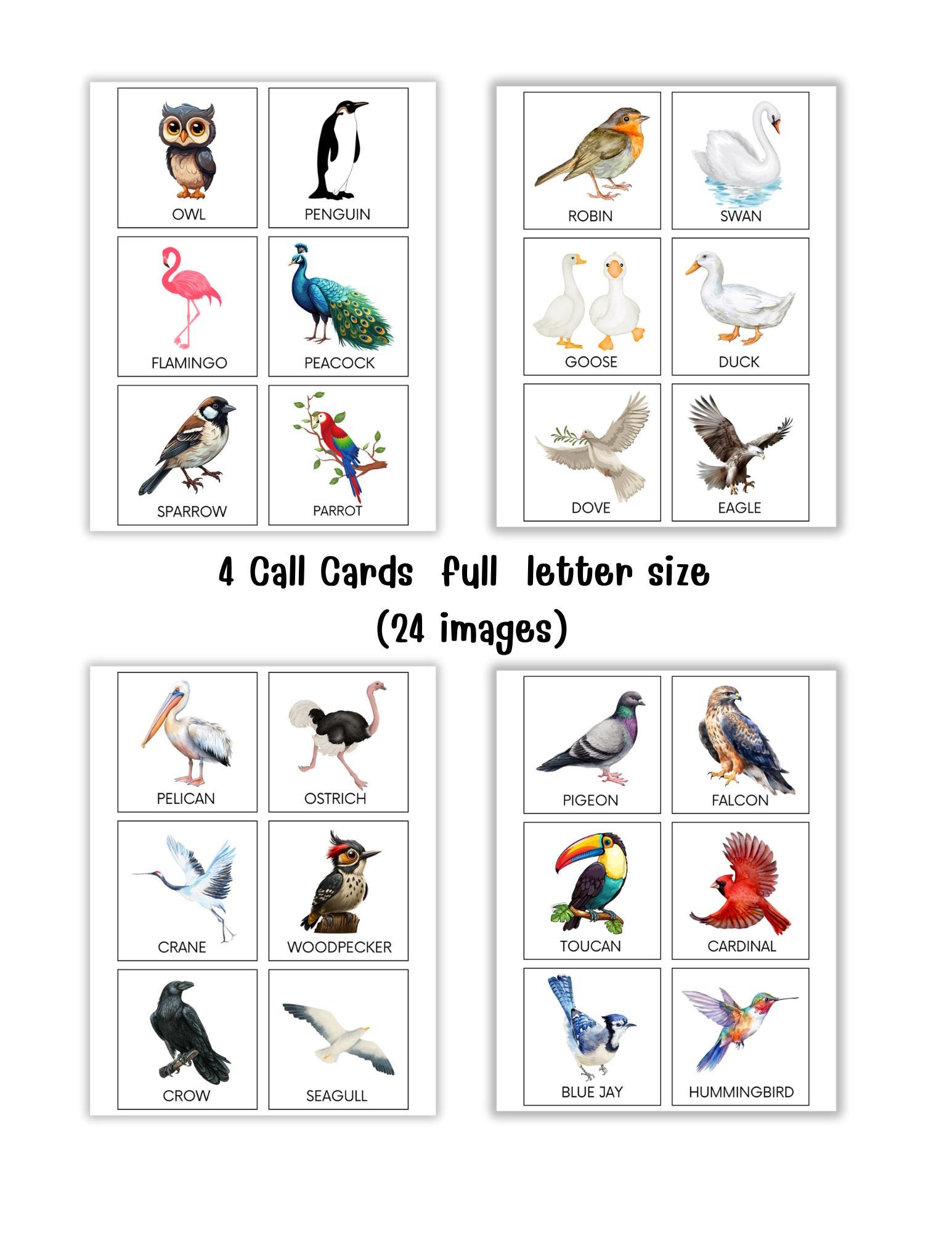Bird Bingo Game Printable – Educational Nature Activity for Kids | Fun ...