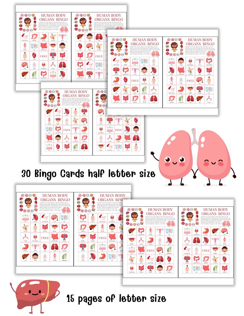 Printable Human Body Bingo Game for Kids | Anatomy Learning Activity ...