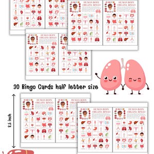 Printable Human Body Bingo Game for Kids | Anatomy Learning Activity ...