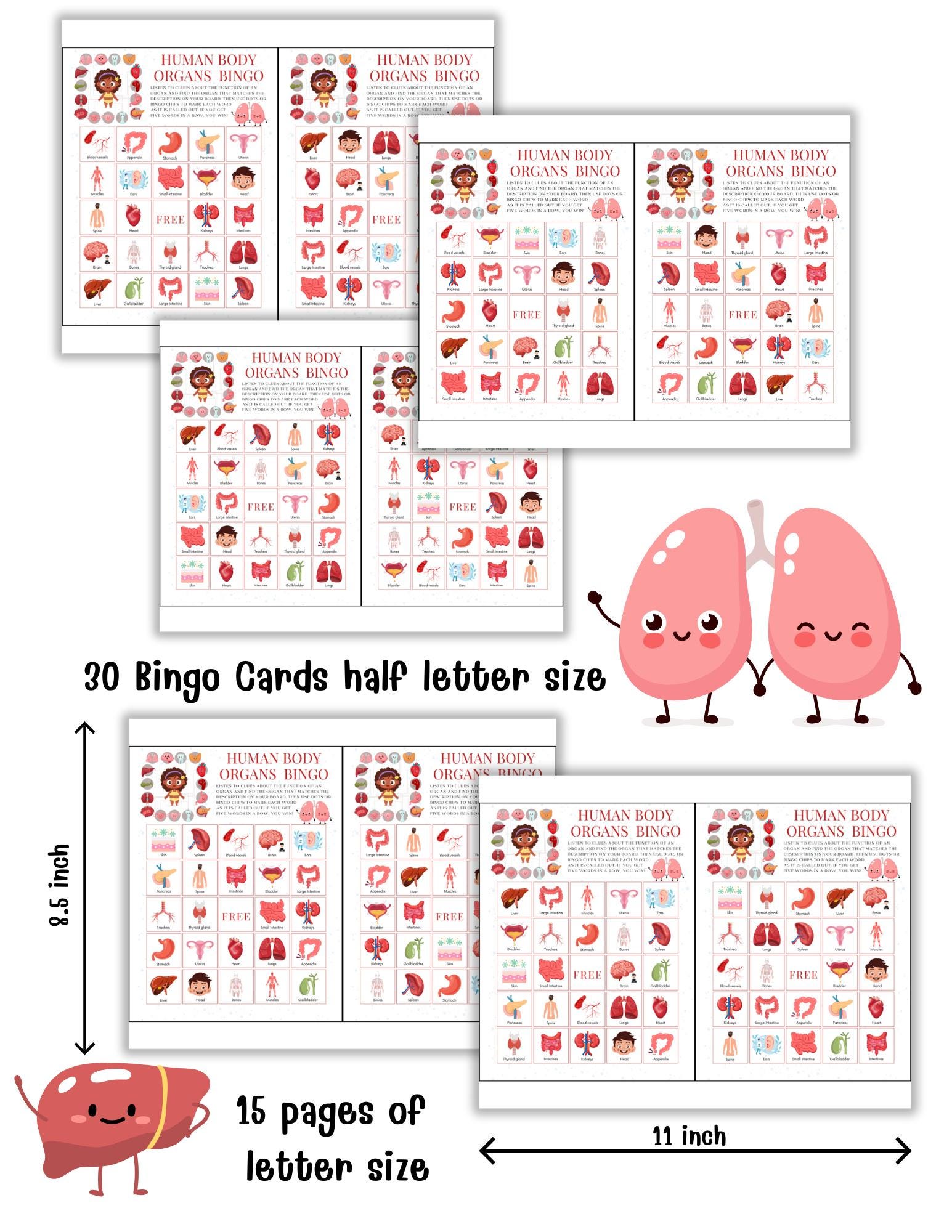 Printable Human Body Bingo Game for Kids | Anatomy Learning Activity ...