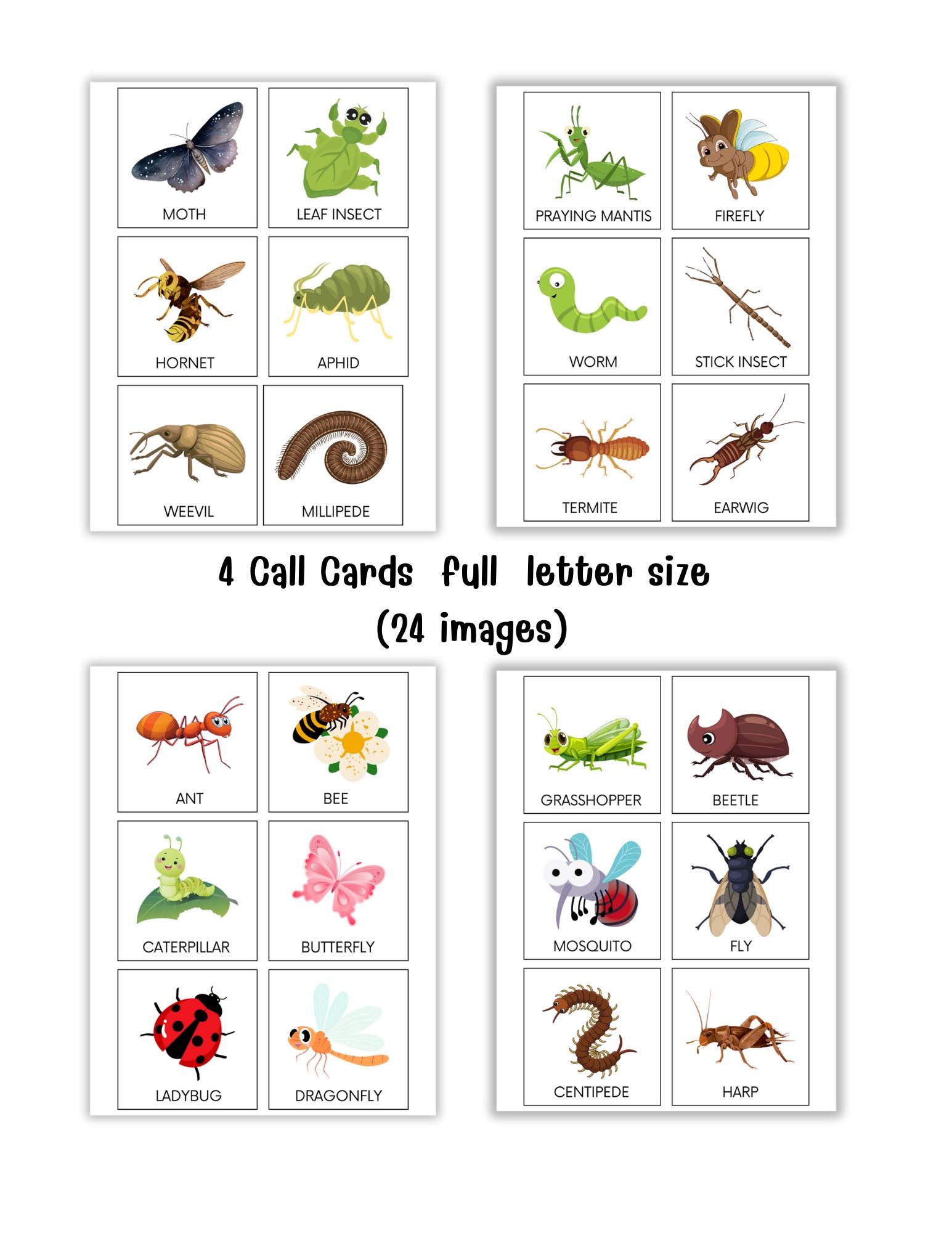 Insects and Bugs Bingo Game | Printable Bug Bingo for Kids | Spring ...