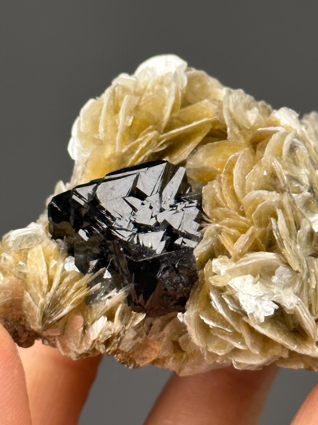 Rare Octahedral Cassiterite Crystal With Mica & Aquamarine From ...
