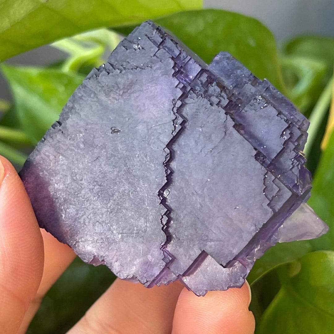 Rare Step-form Purple Fluorite Crystal Cluster: Unique Mineral Specimen Deep Purple From Western ...