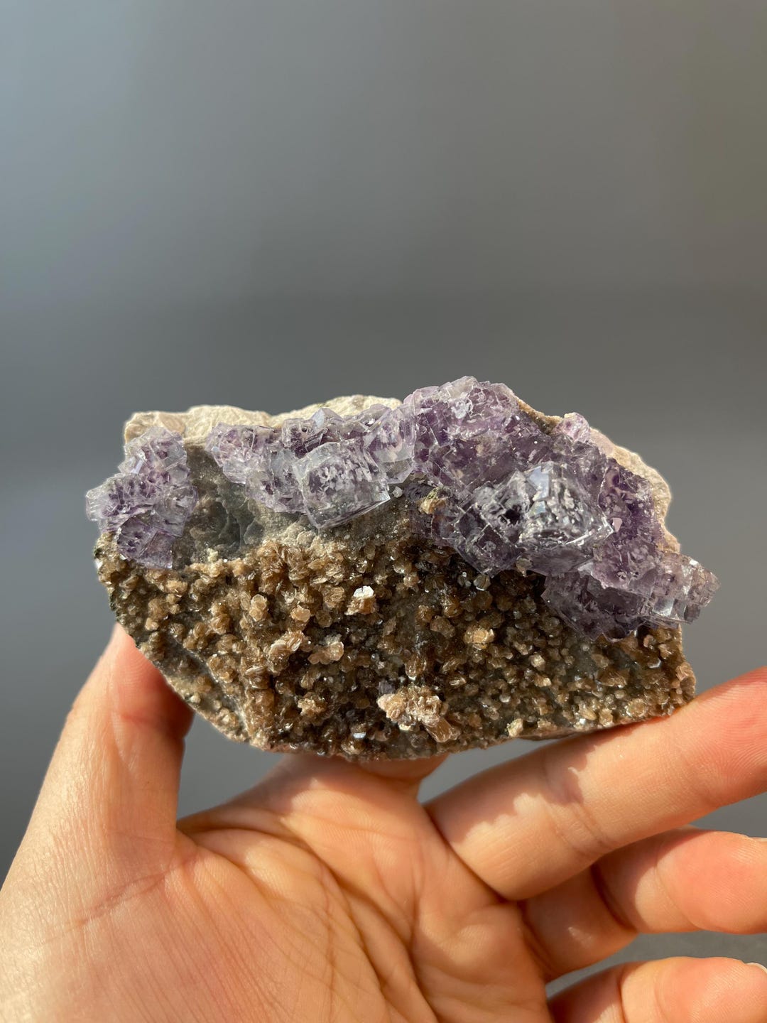 Purple Phantom Fluorite With Mica Hand-sized Specimen With Coffee-tone ...