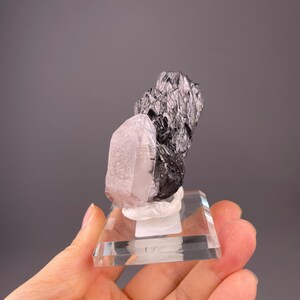 Cassiterite With Quartz | Metallic Luster | Yaogangxian Mine, China ...