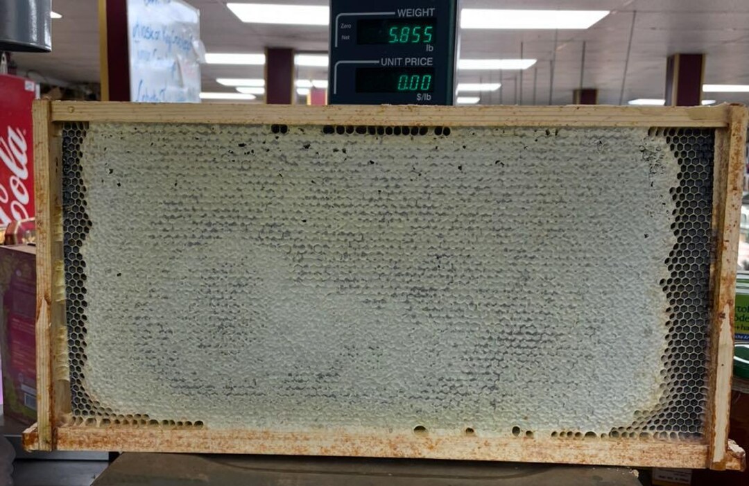 Raw Honeycomb on Frame - 100% Pure Raw Honeycomb Frame - Natural ...