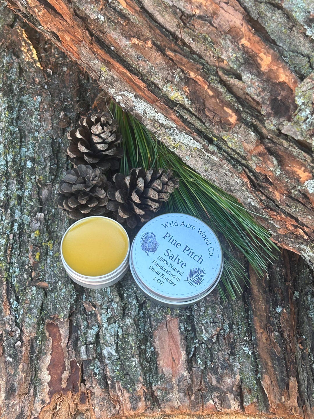 Pine Pitch Salve | Organic Pine Pitch | Pine Sap Salve | Herbal Salve | Pine Tar Salve | Conifer ...