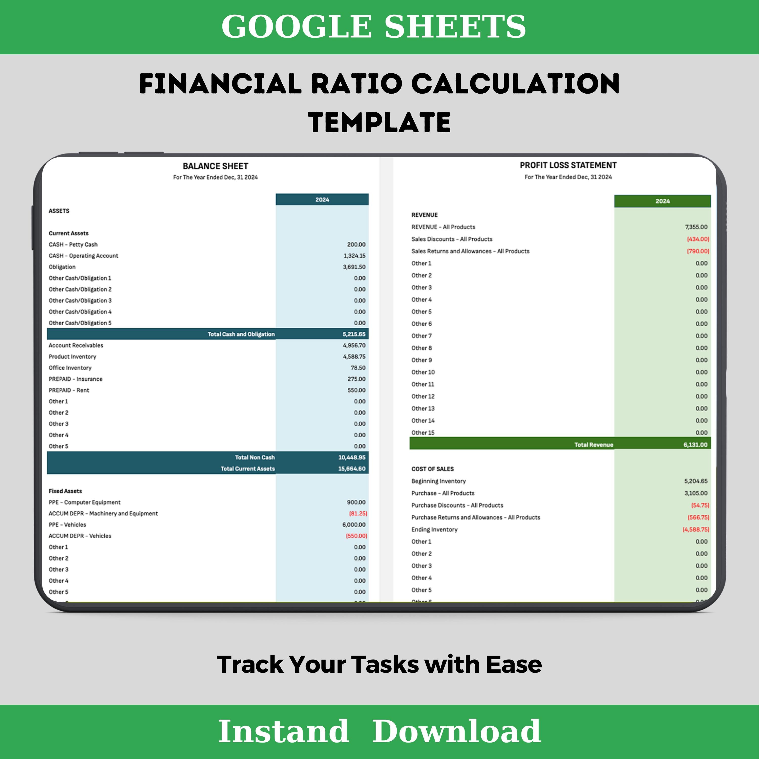 Financial Ratio Calculation Template, Digital Download, Editable Google ...