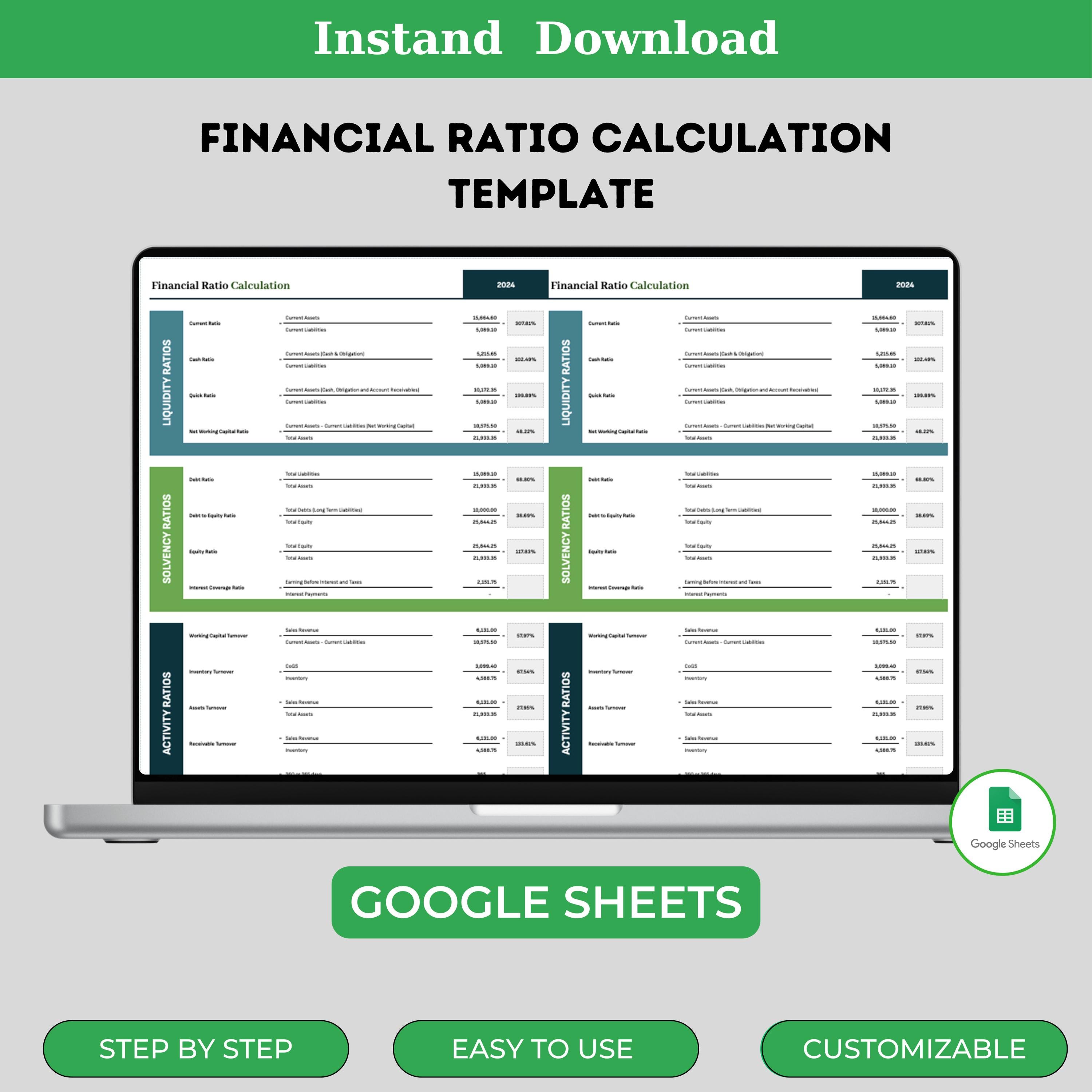Financial Ratio Calculation Template, Digital Download, Editable Google ...