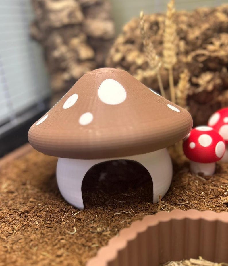 Mushroom Hamster Hide, Hamster Natural Hide, Reptile Hide, Mouse Hide ...